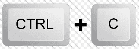 Install the developer portal